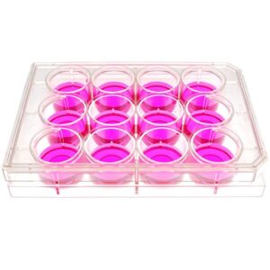 12-well | No. 1.5 Coverslip | 14 mm Glass Diameter | Uncoated • Mattek ...