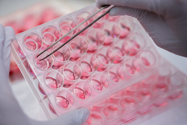 Mattek - Part of Sartorius