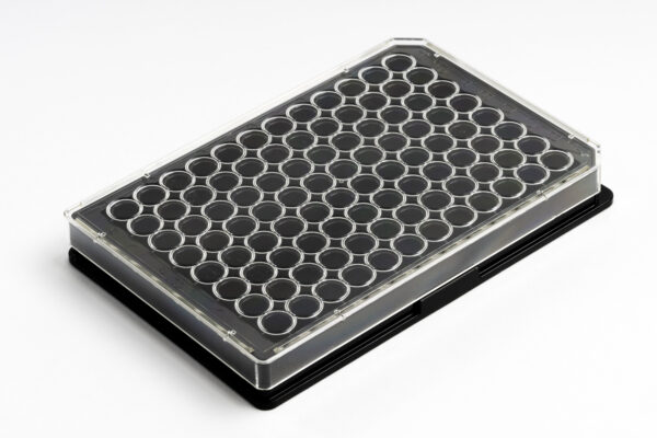 Mattek - Part of Sartorius