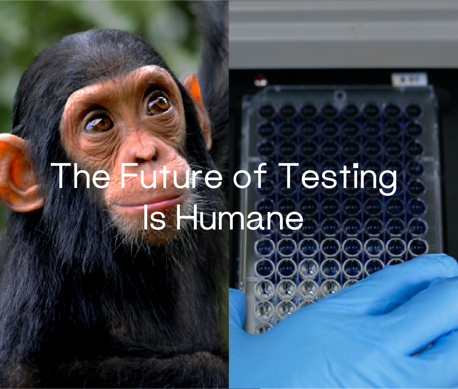 The Future of Testing is Humane | Mattek - Part of Sartorius