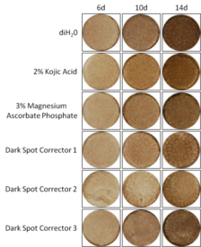 MelanoDerm Skin Brightening Assay | MatTek Life Sciences