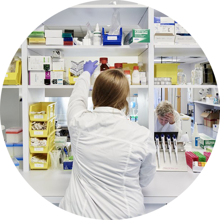 Careers - Join our team of innovators | MatTek Corporation