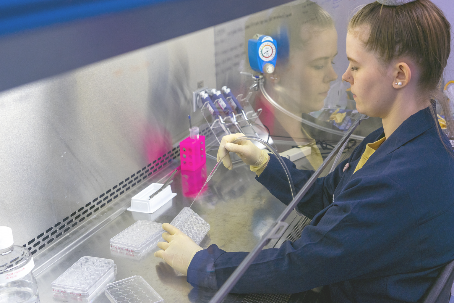 EpiDerm OECD approved for phototoxicity testing | Mattek - Part of ...