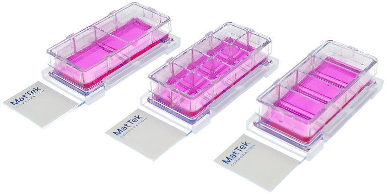 Chambered Cell Culture Slides - Overview • MatTek Life Sciences