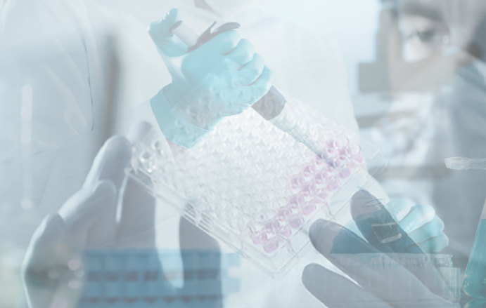 MatTek Corporation | Biotechnology Company